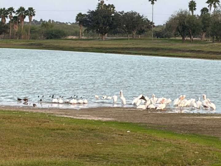 Modern Lakefront Retreat | Newly Remodeled - Mission, TX