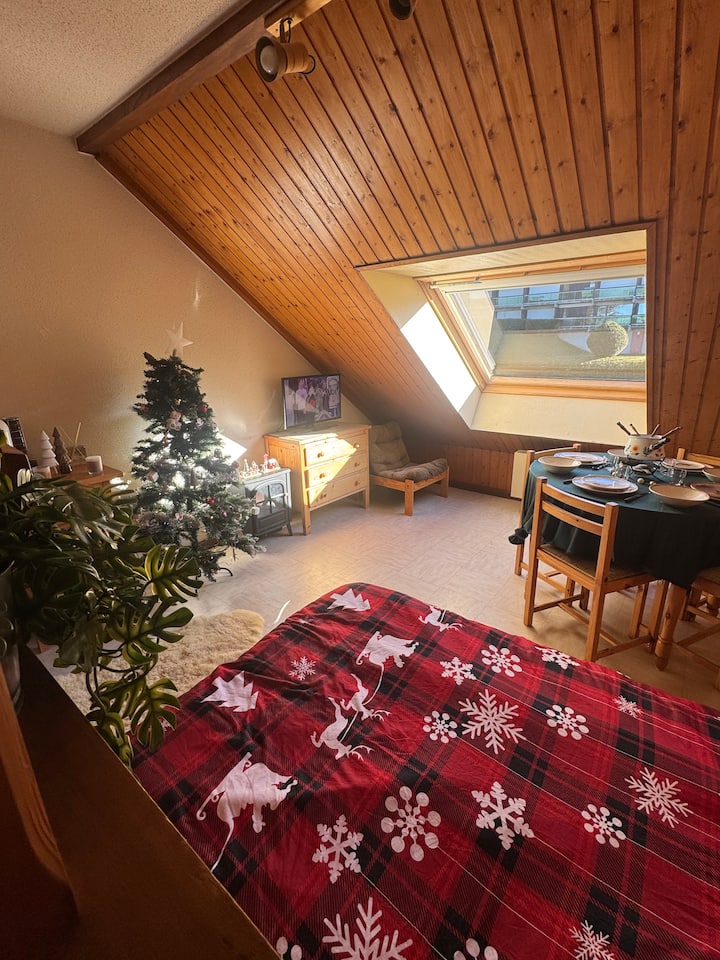 Le Montagnard : Appartement Ô Pieds Des Pistes - Métabief