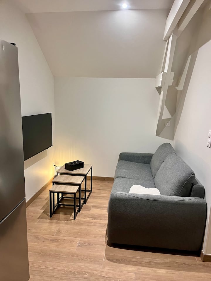 Charmante Maisonnette Avec Jardin - Le Mans