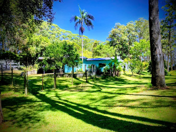 Lakeside 3-br Forest Cottage • Walk To Lake - Kendall