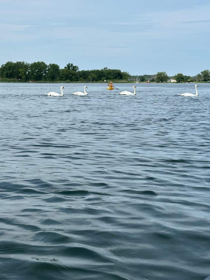 Weller’s Bay Getaway - Brighton