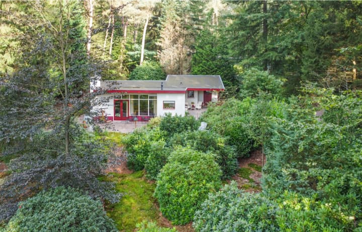 Boshuisje Op Prachtige Locatie Bij Henschotermeer - Doorn