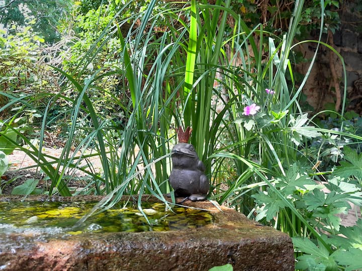 Ferien/monteurwohnung In Meerane - Meerane