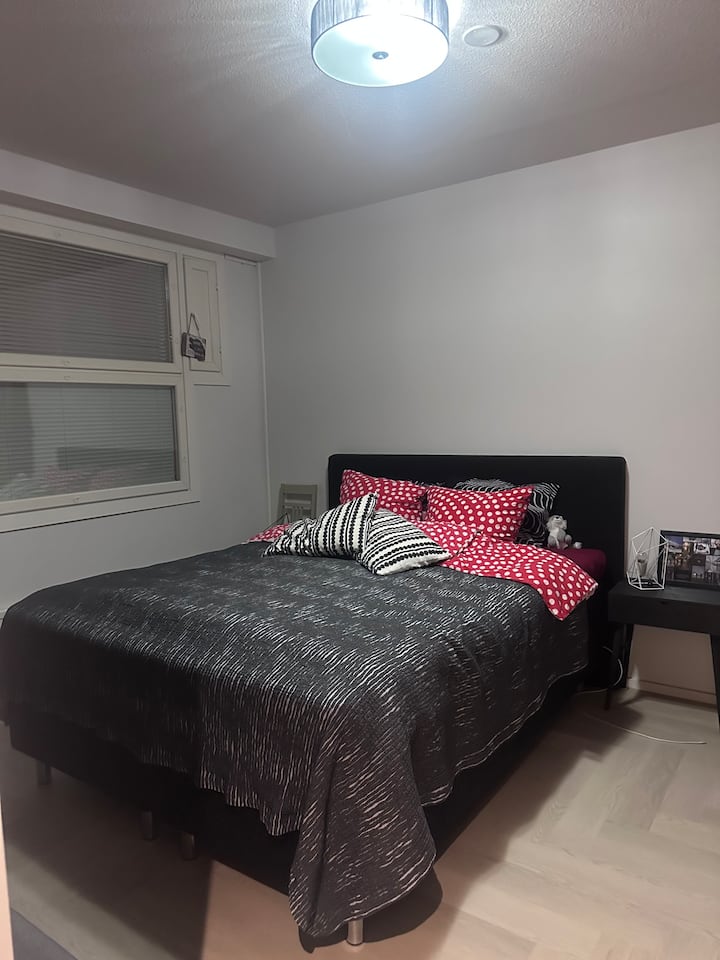 Moderni Kaksio Rauhallisesta Talosta - Tammela