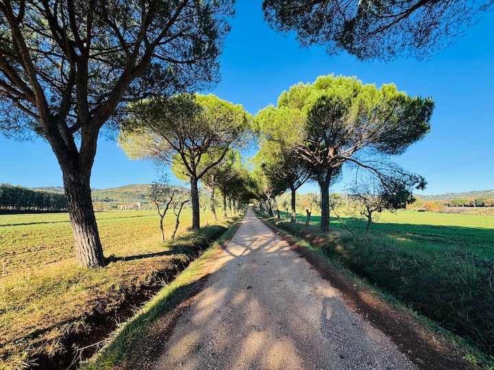 [Grande Terrazza] A/c, Wi-fi E Piscina - Suvereto