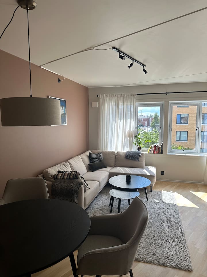 Romslig Og Fin Leilighet - Oslo