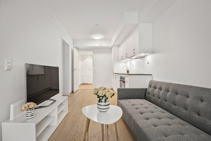 Demims Apartments - Close To Oslo Airport & Mall - Oslo Airport (OSL)