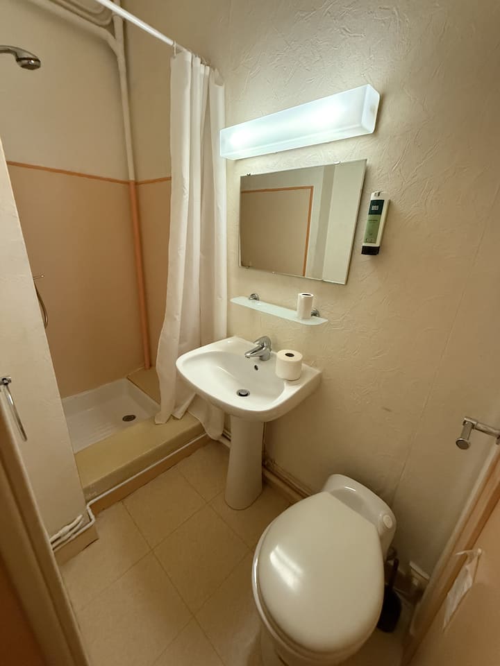 N°5 : Chambre Vintage - Paray-le-Monial