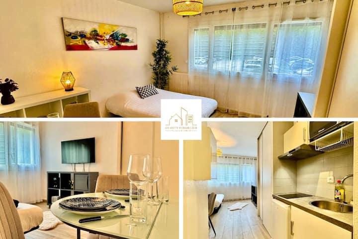 Petit Studio Pratique Près De Genève - Saint-Julien-en-Genevois