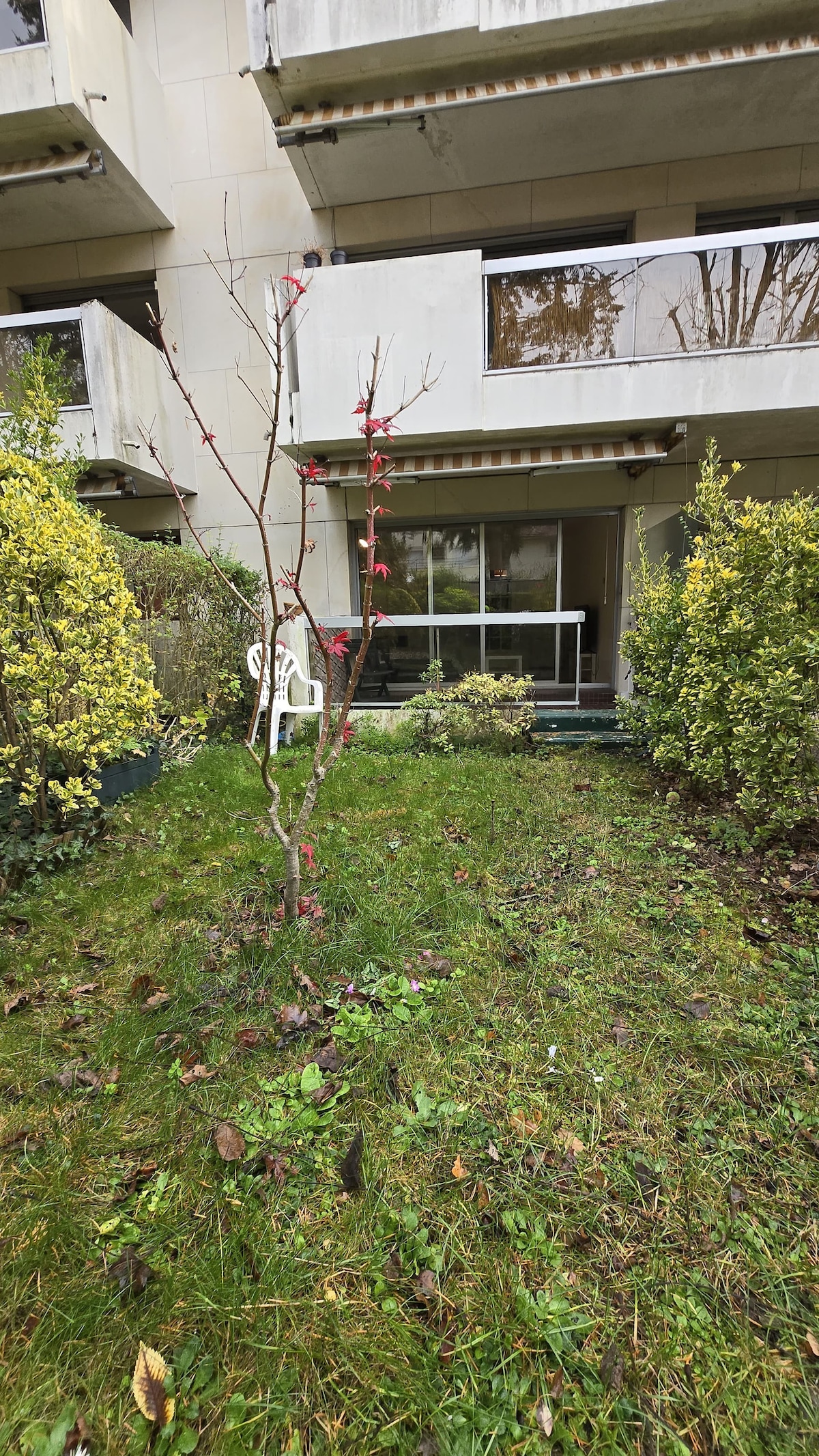 Grand studio en bordure de forêt - Appartements à louer à Fontainebleau ...