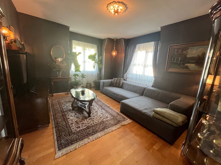 Stielvolle 3,5 Zi Wohnung Im Kreis 3 Für 1 Monat - Zürich