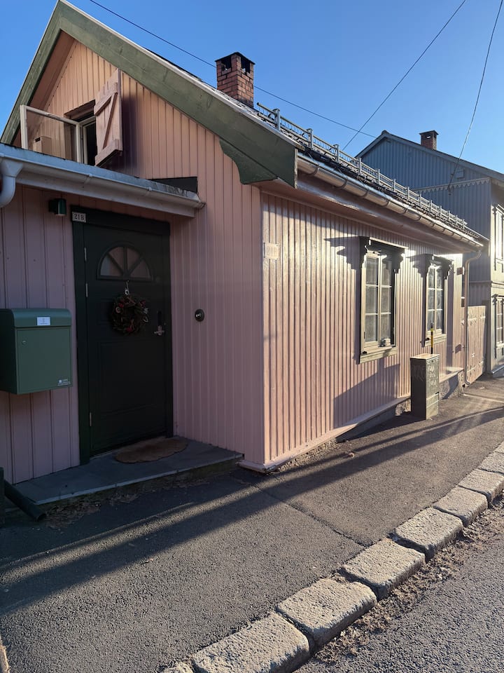 Nydelig Hus Sentralt I Oslo. Svært Familievennlig - Oslo