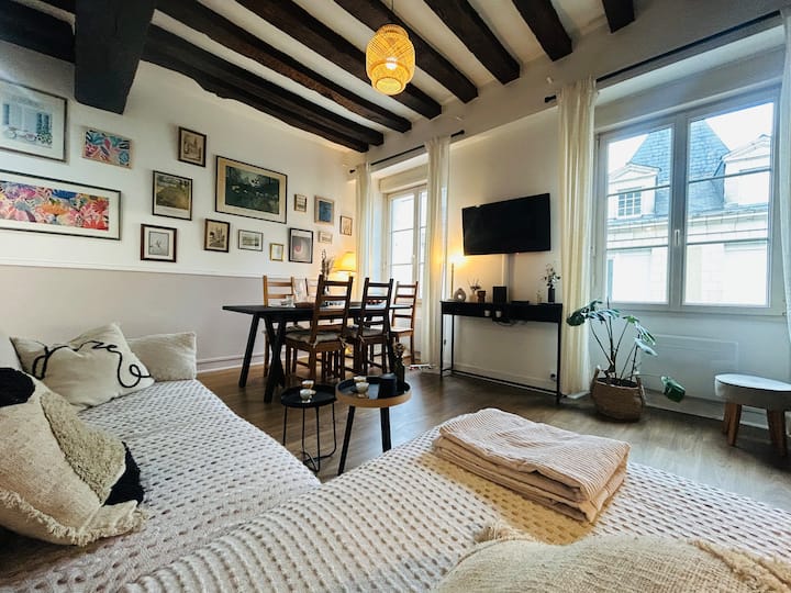 Casa Beaurepaire : Magnifique T3 Chaleureux - Angers