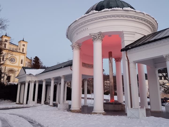 Private Room B&b | Feels Like Home At The Villa - Mariánské Lázně