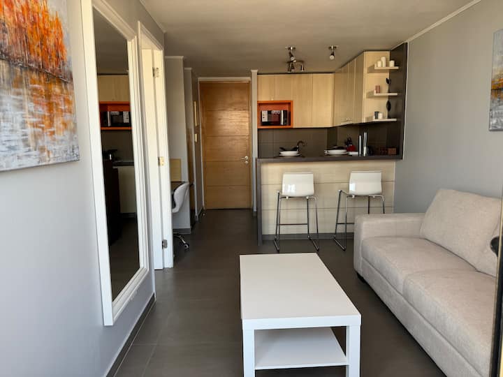 Departamento Moderno En Casco Histórico Santiago - Independencia