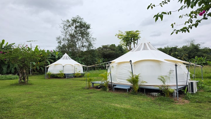 Pumpkin No.air - Chiang Saen