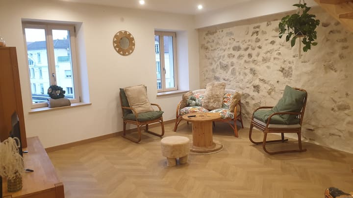 Appartement Cosy En Cœur De Ville - Culoz