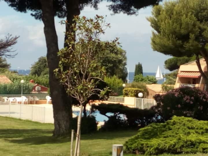 Top Ipomée Le Pradet - Le Pradet