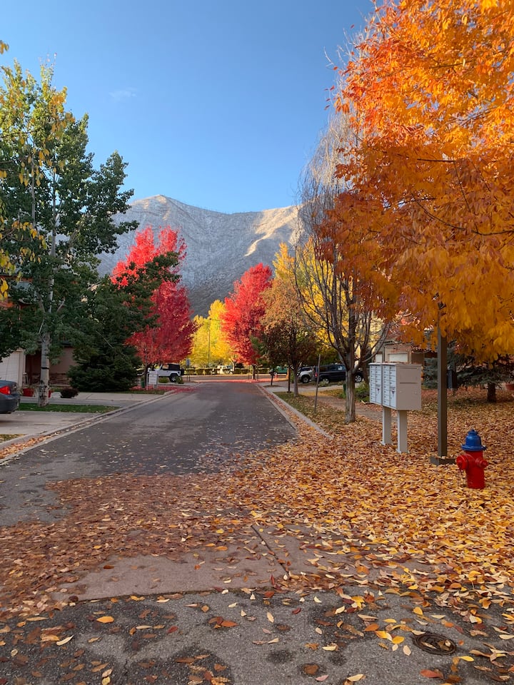 Bright Park Side - Glenwood Springs, CO