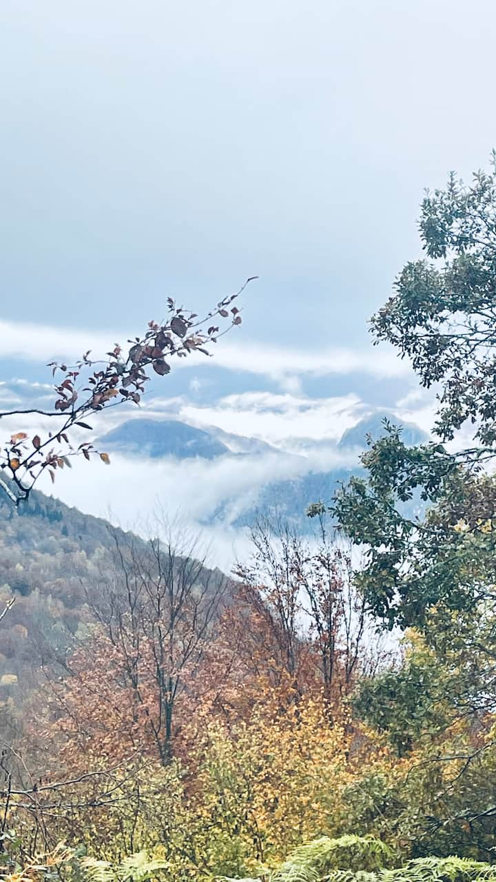 Au Pied Des Pistes - Studio 4 Pers – Le Mourtis - Étang d'Araing