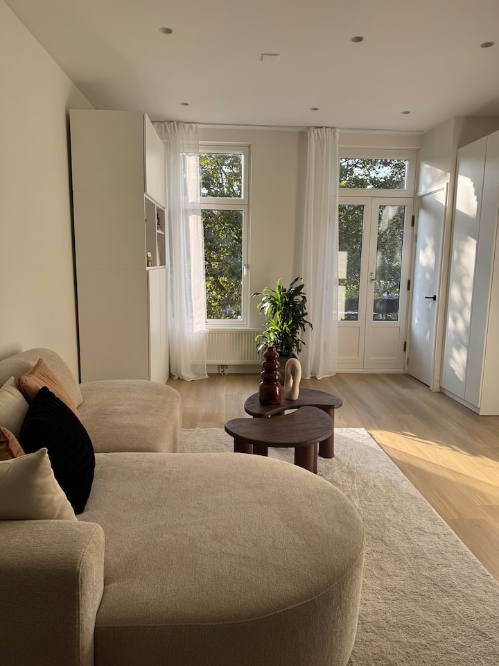 Bright Apartment In Oud-zuid, Near Vondelpark - Amsterdam