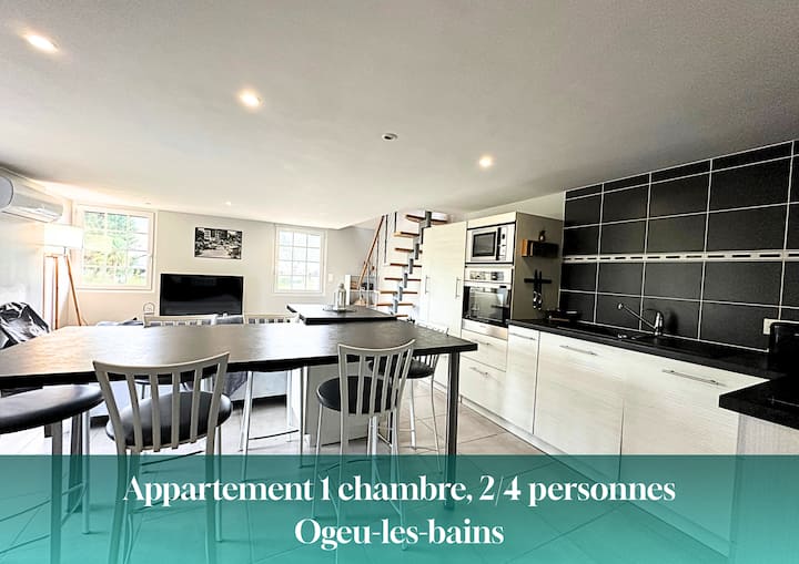 Rare à Ogeu-les-bains ! Duplex 2 à 4 Pers. - Oloron-Sainte-Marie