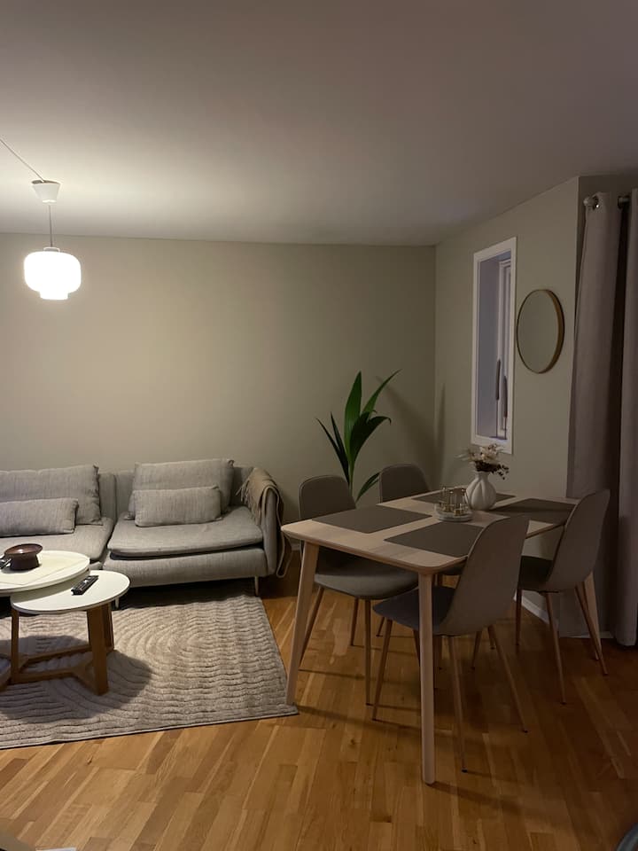 Romslig Og Fin Leilighet På Møllenberg/bakklandet - Trondheim