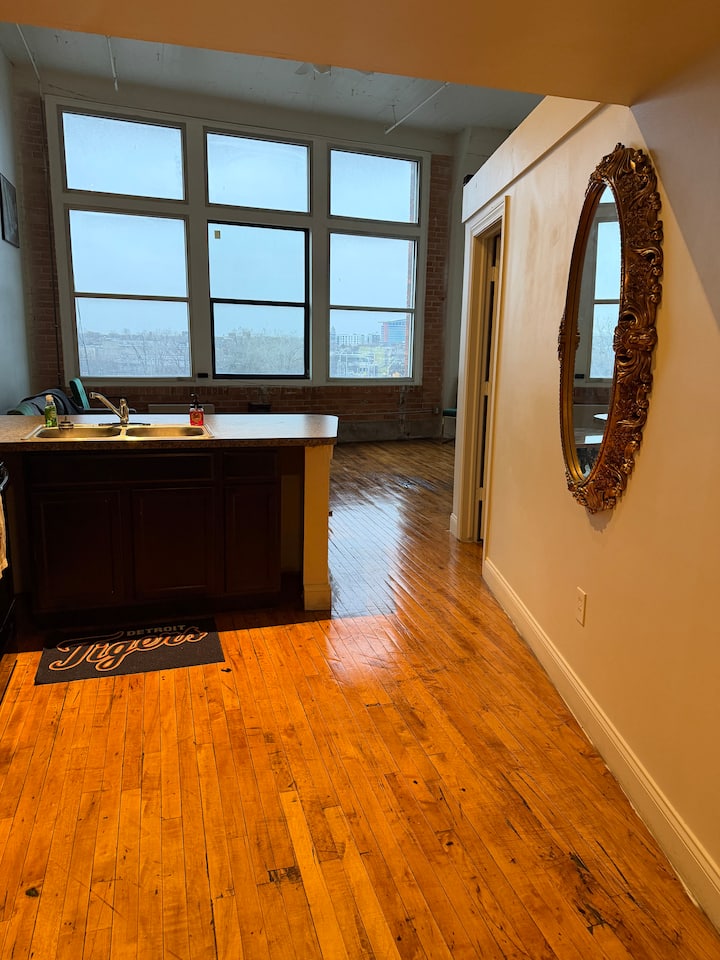 Charming Historic Loft In Downtown Detroit - Ford Field Detroit