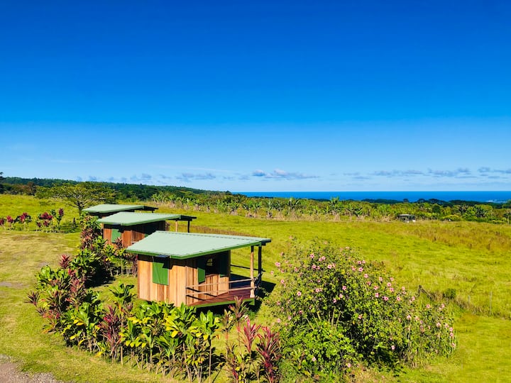 5 Ocean / Garden View Cabins At Kulaniapia Falls - Hilo, HI