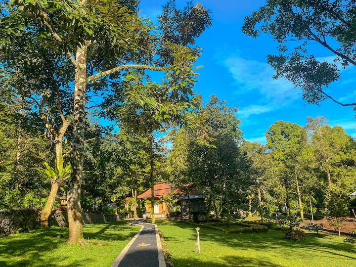 Wimala Farm House - Munduk