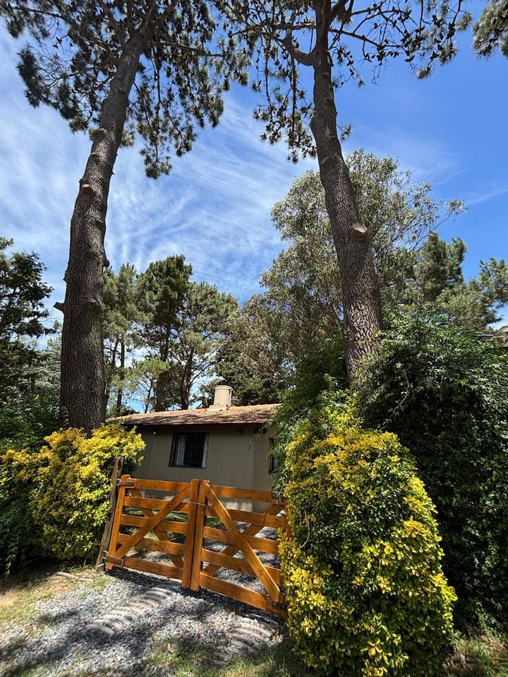 Casa En El Bosque De Pinos - Pinamar