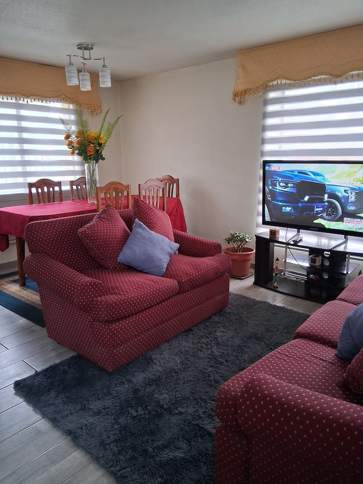 El Nido Del Búho-casa De Ciudad Acogedora. - Temuco