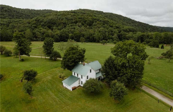 Hazel Farmhouse - Livingston Manor, NY