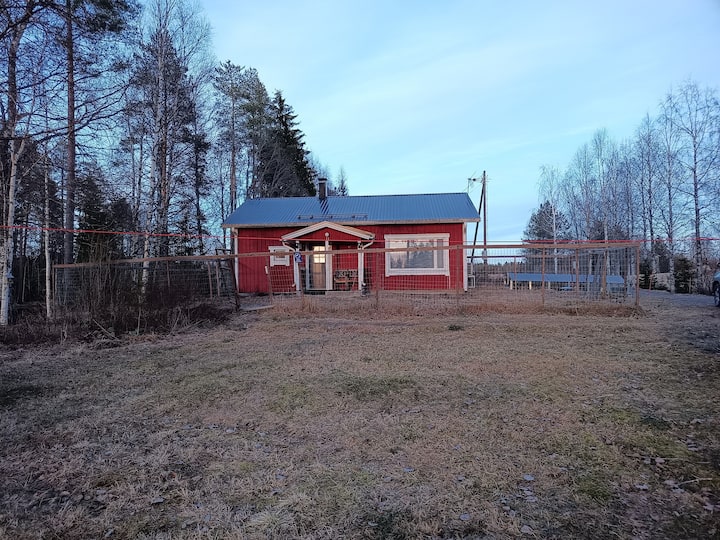 Pieni Mökki Tilavalla Koiratarhalla Joen Rannassa - Uurainen