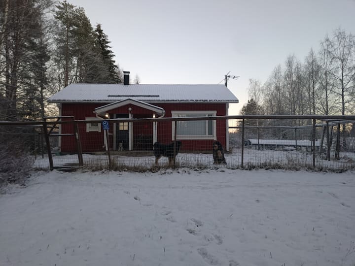 Pieni Mökki Tilavalla Koiratarhalla Joen Rannassa - Uurainen