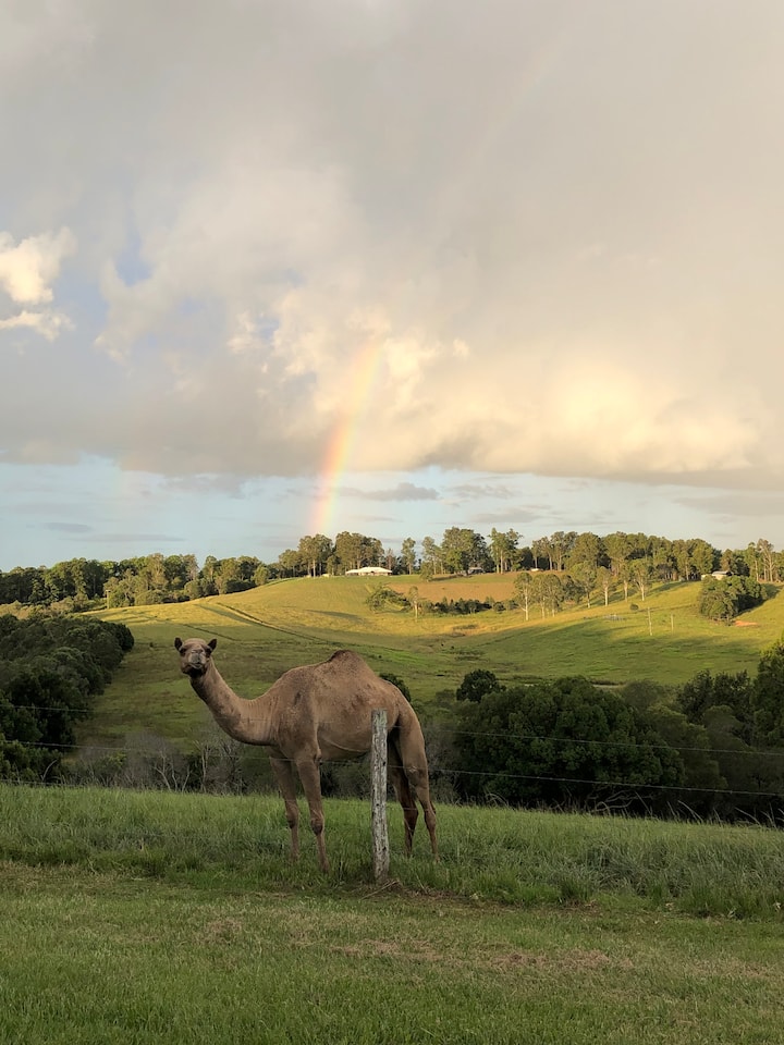 Aram Shanti Studio - Gympie