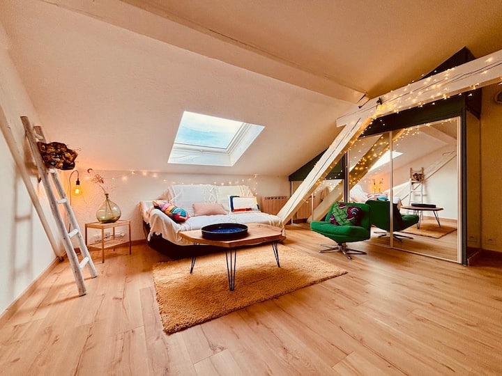 Nid Lumineux Sous Les Toits - Tram 17 Proche Gare - Annemasse