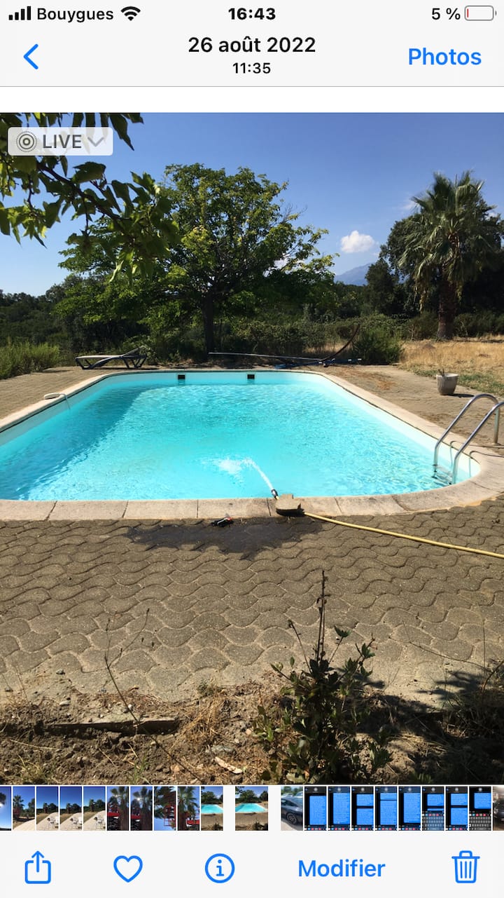 Libre Jusqu’à Fin Mars 2500 Euros Par Semaine - Ghisonaccia