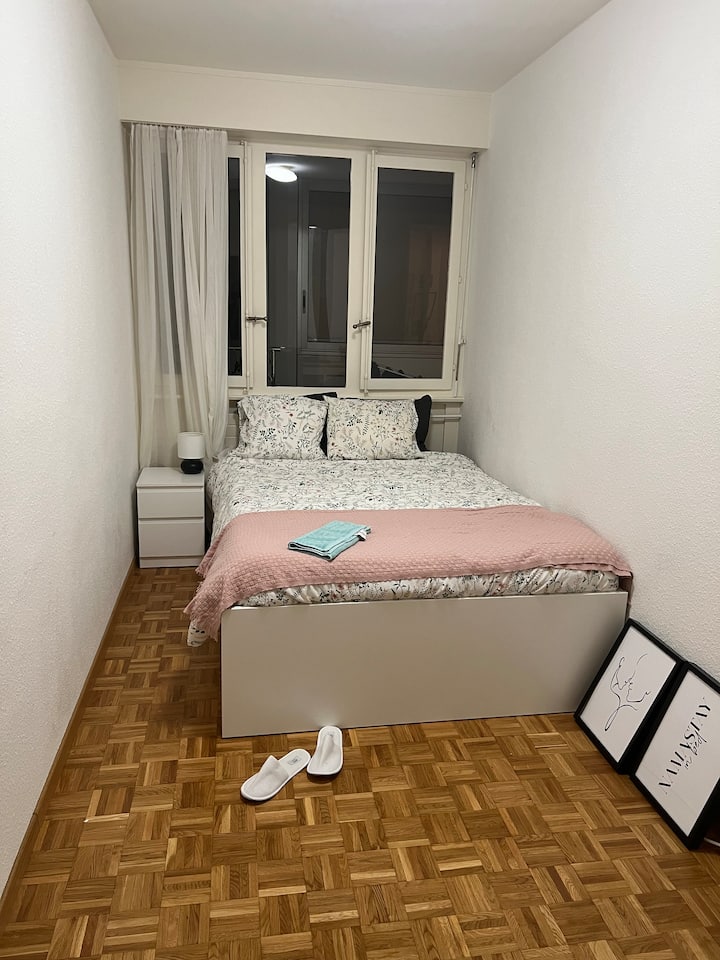 Cozy Home And Welcoming - Genève