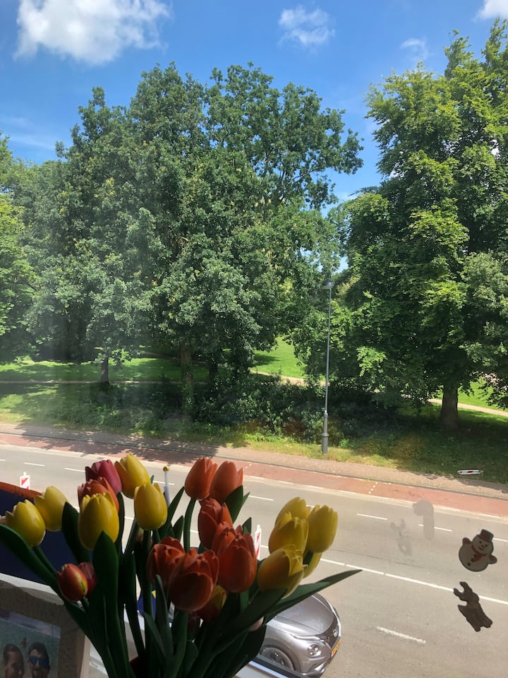 Stylish Renovated In The Citycenter With Park View - Haarlem