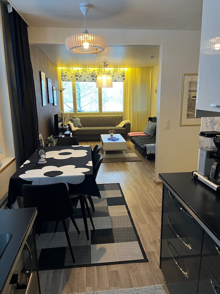 Valoisa Ja Viihtyisä Kaksio Sotkamosta. - Finland