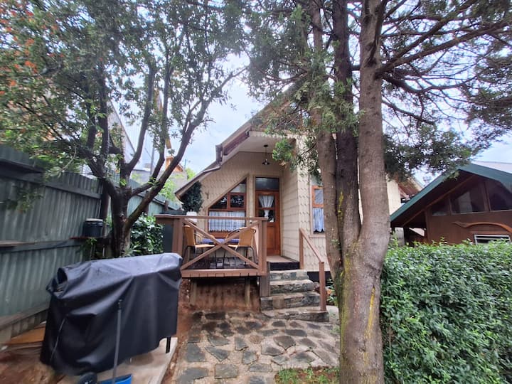 Cabaña 2 - Futaleufú