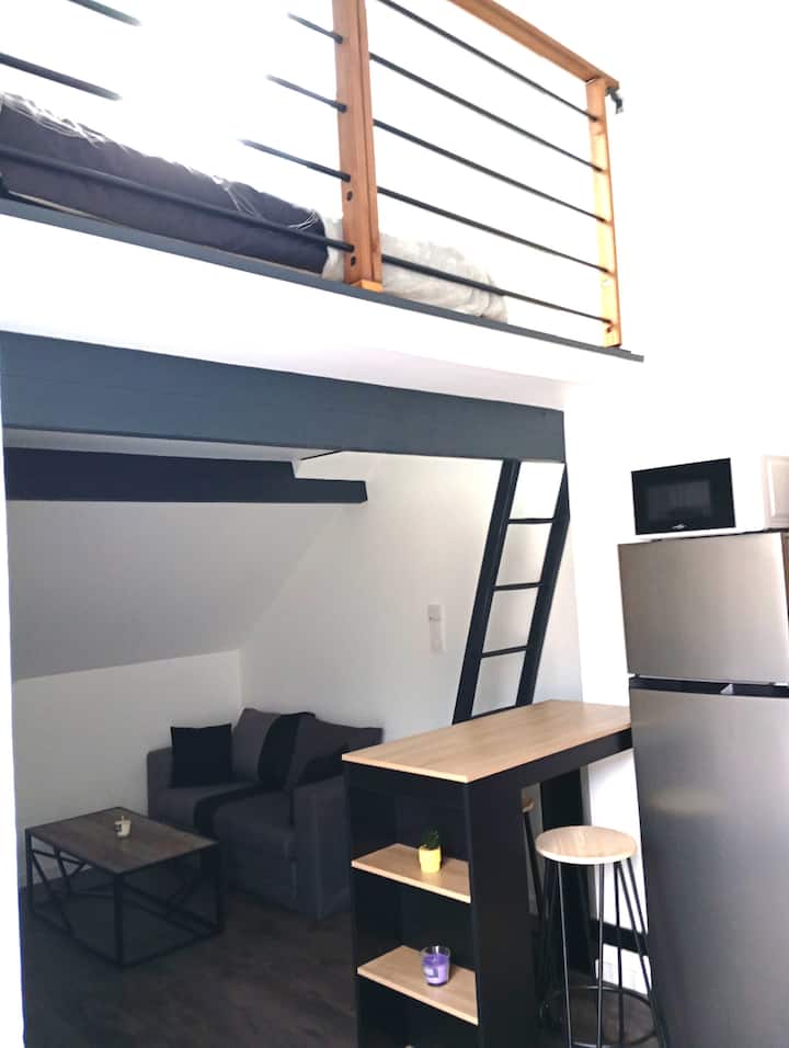 Studio Avec Mezzanine à 3 Km D'argelès-gazost. - Argelès-Gazost