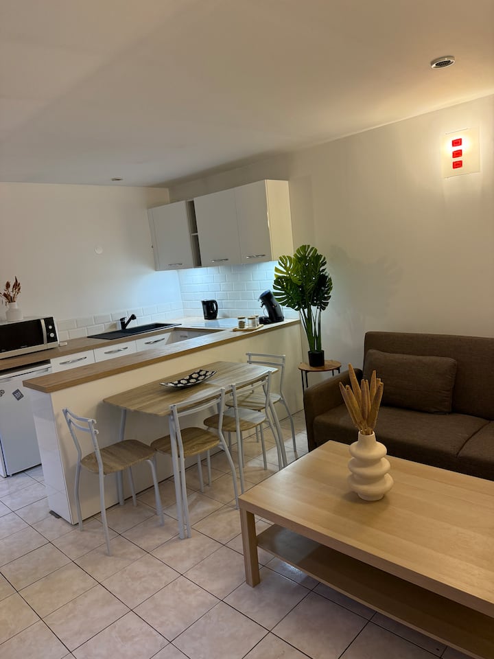 F2 Proche Aéroport Cdg, Paris, Disney, Parc Expos - Mitry-Mory