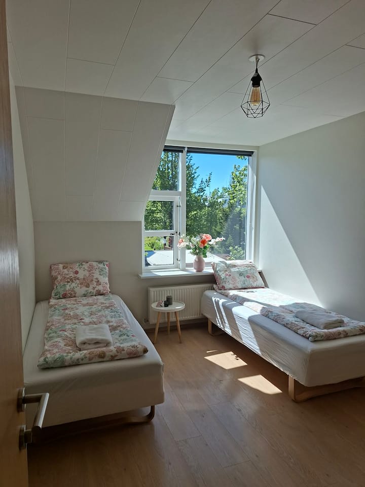Sunny House - Islândia