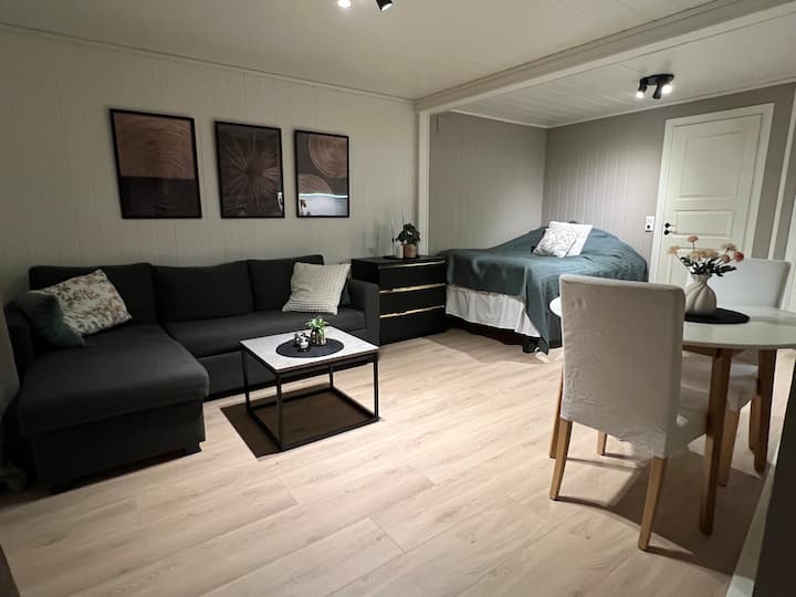 Sokkelleilighet På Ranheim - ノルウェー