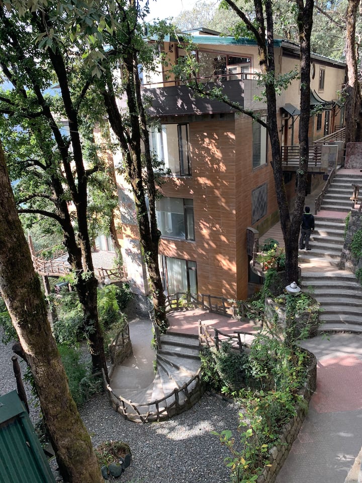 Nainital Vibes - 2bhk - ナイニタール