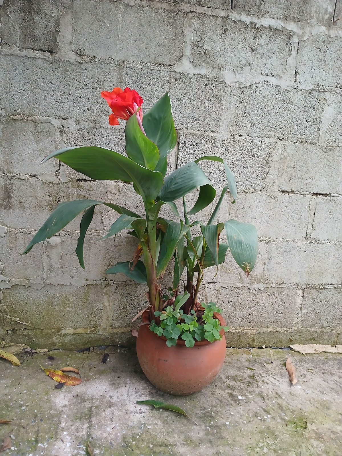 House near Paraisopolis - Bedroom 1 - Houses for Rent in Paraisópolis ...