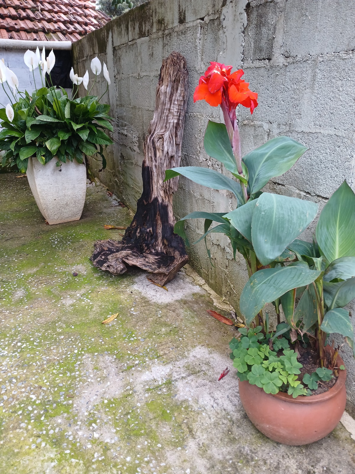 Casa cerca de Paraisopolis - Habitación 1 - Casas en alquiler en ...
