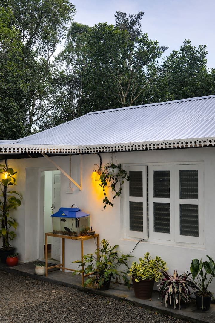 Ella Homestay | Entire 3bhk Home Near Kuttikanam - Kuttikkanam